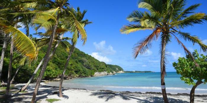 Lodeom 2019 : le nouveau mode de calcul des réductions de charges ...